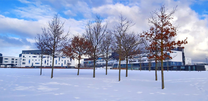 Student News | Queen Margaret University, Edinburgh